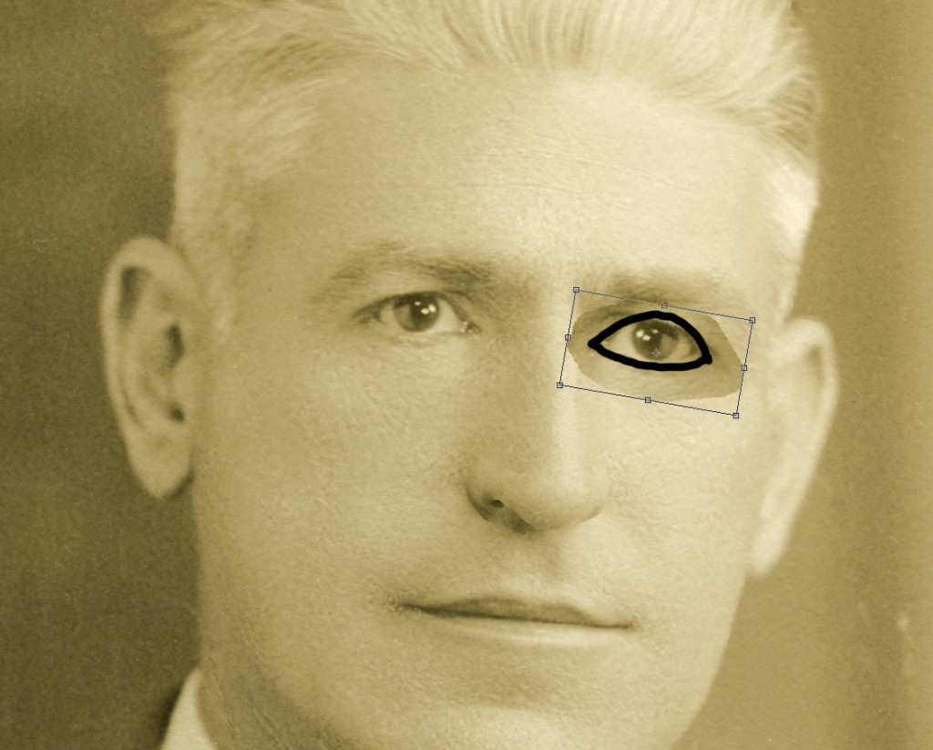 All Kinds of Flips - TipSquirrel