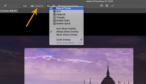 The Art of the Crop and Photoshop Power Tips - TipSquirrel