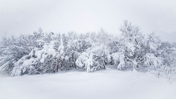 Retouching Snow in Photoshop - TipSquirrel